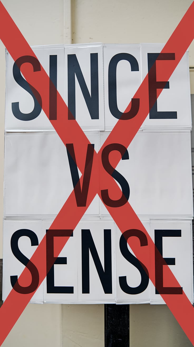 Since vs Sense: Understanding When to Use Each Word - Grammar Beacon