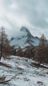 What Does "Iicyify" Meaning? Guide with Examples - Grammar Beacon