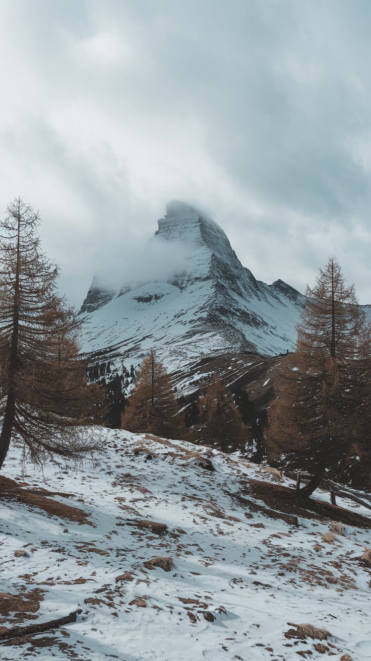 What Does "Iicyify" Meaning? Guide with Examples - Grammar Beacon