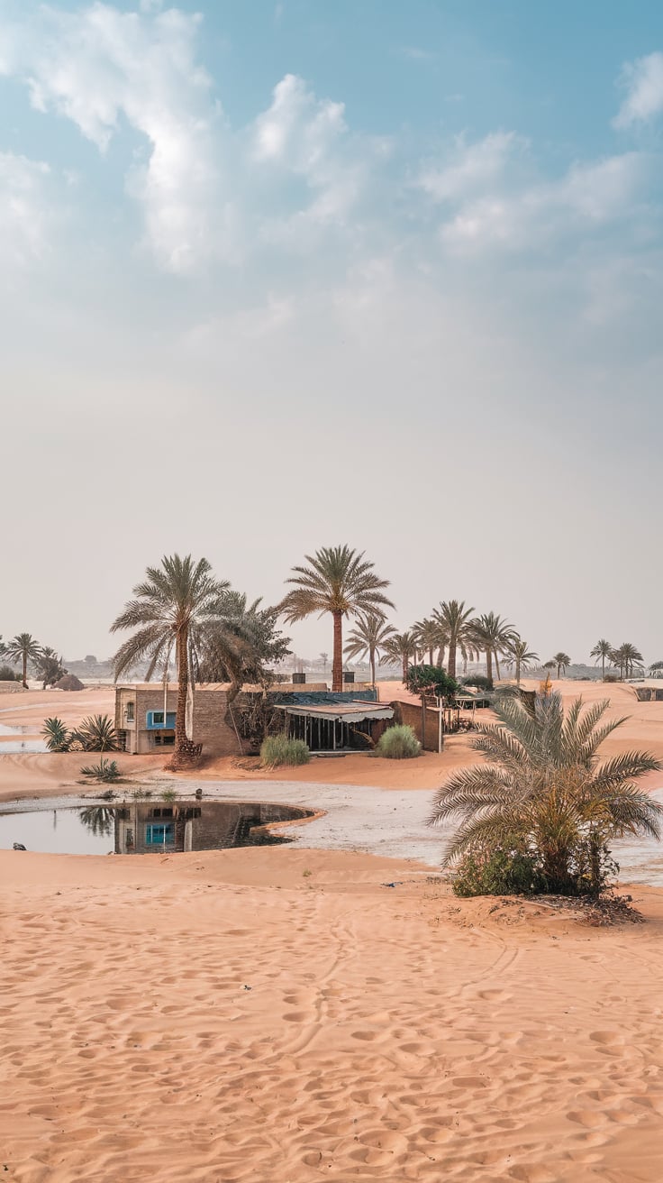 Plural of Oasis: Exploring Its Meaning, Usage, and More - Grammar Beacon