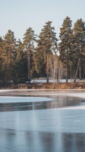 What Does "Iicyify" Meaning? Guide with Examples - Grammar Beacon