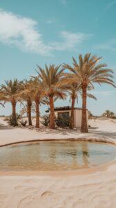 Plural of Oasis: Exploring Its Meaning, Usage, and More - Grammar Beacon